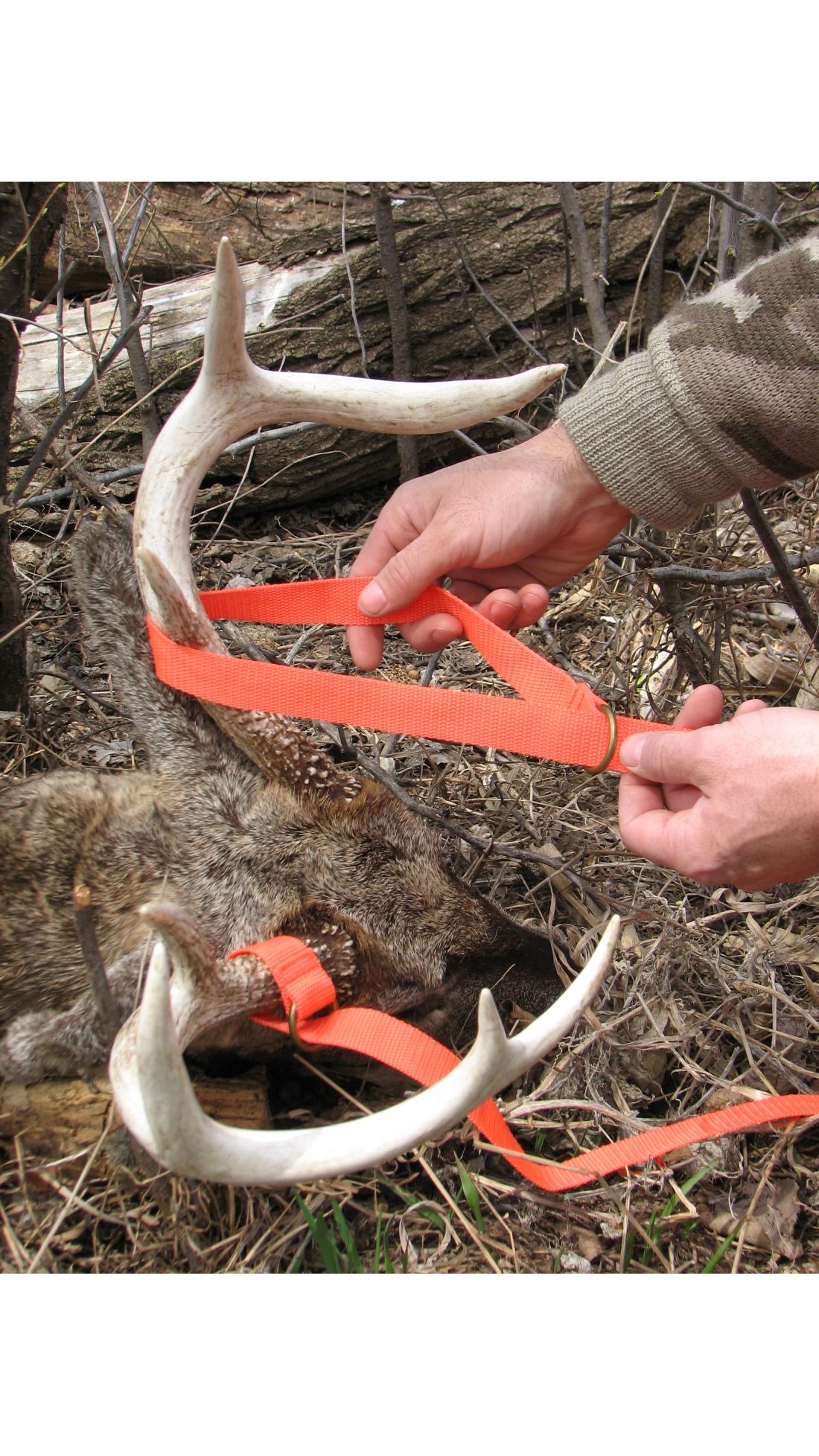 Heavy Hauler Outdoor Gear Nylon Webbing Deer Drag Harness HH0065. Heavy ...