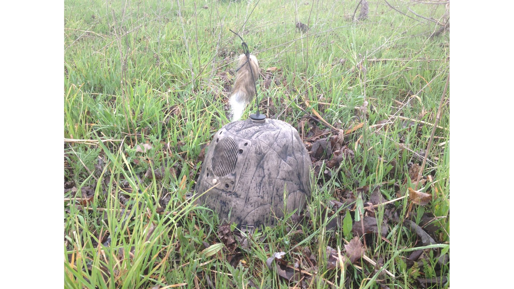 iHunt Remote Predator Game Call and Coyote Decoy FREE S&H IHWAG-EDEMO ...